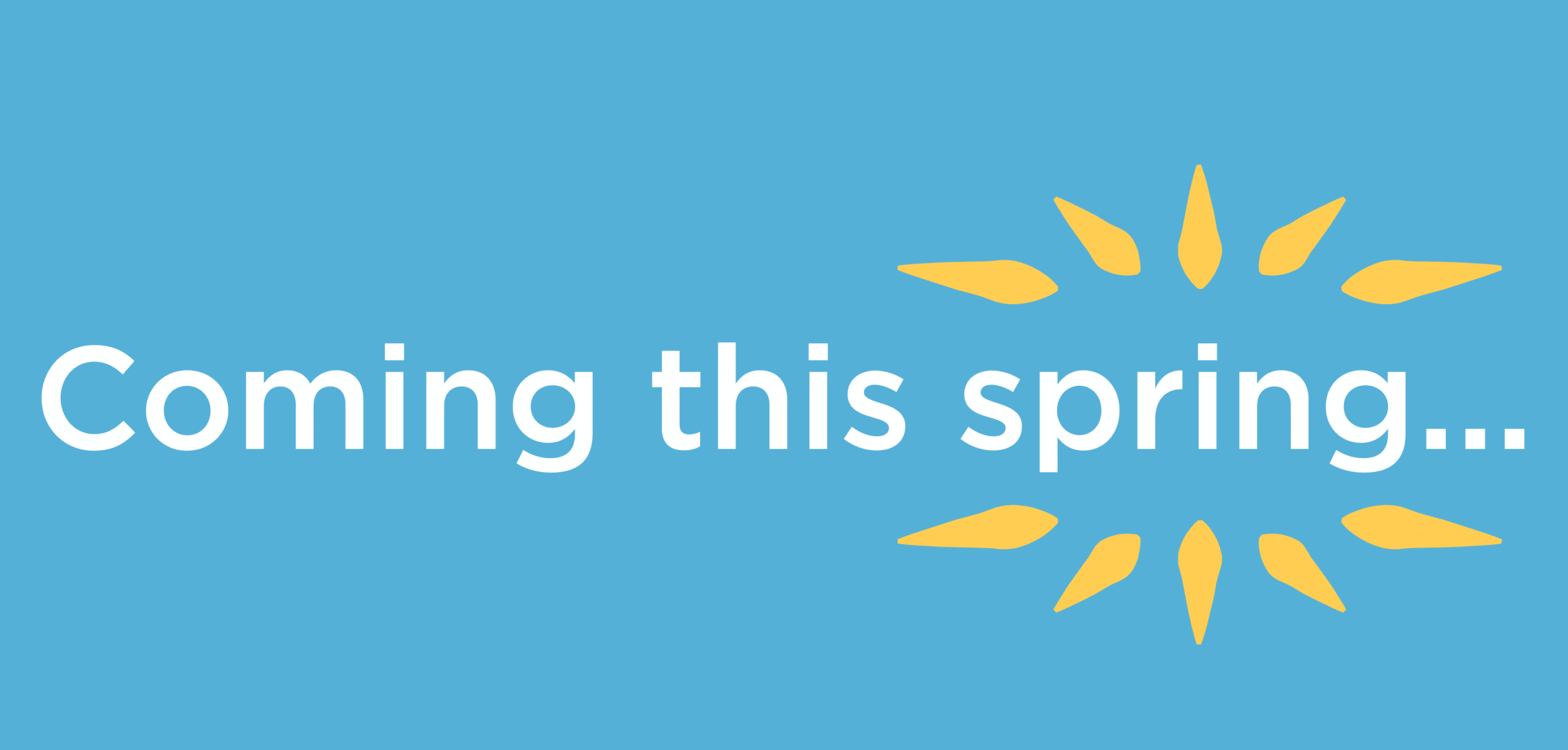 5 things to look forward to from The Miami Hurricane this spring | The ...