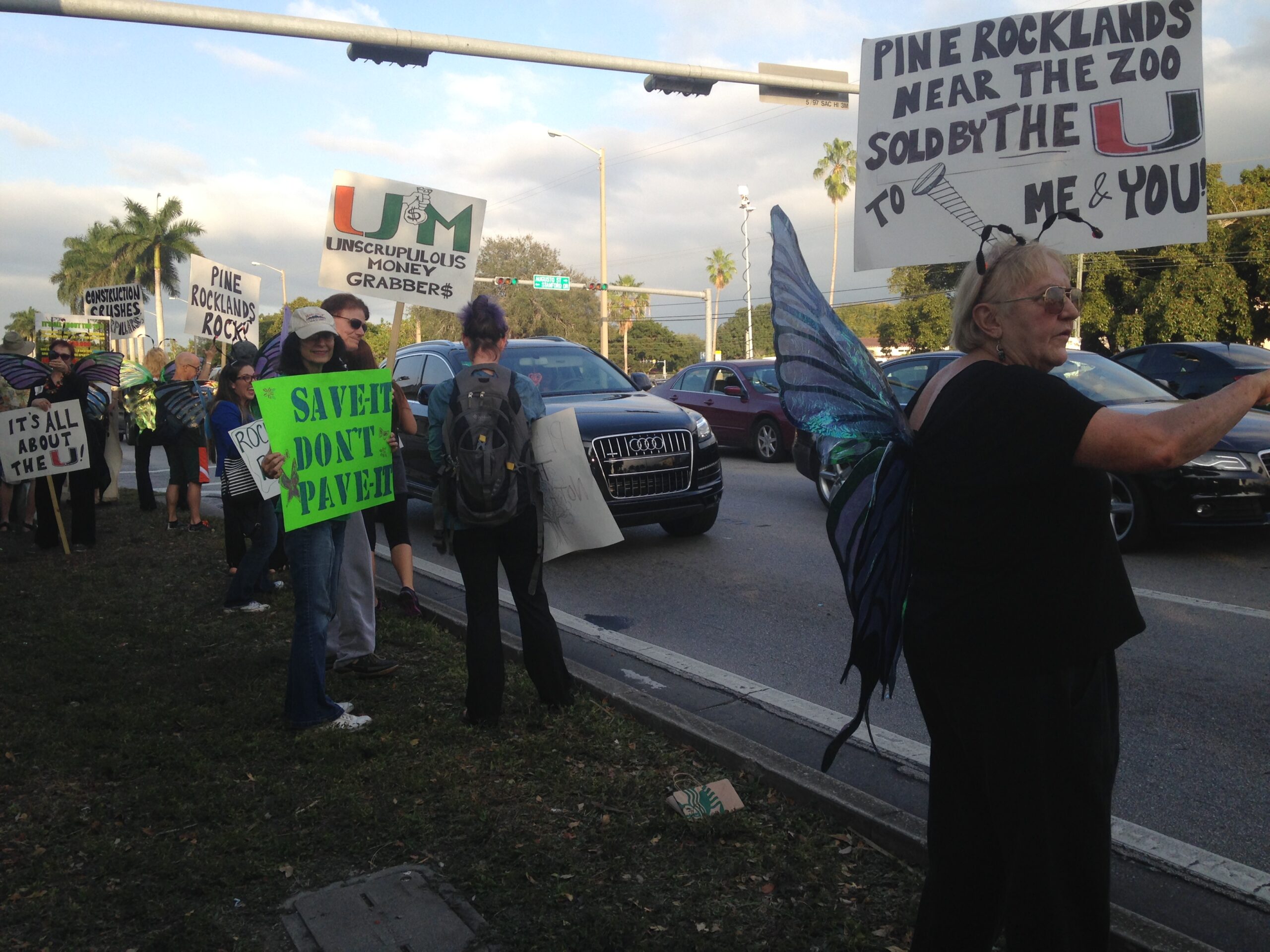 Protesters criticize treatment, sale of endangered pine rockland | The ...