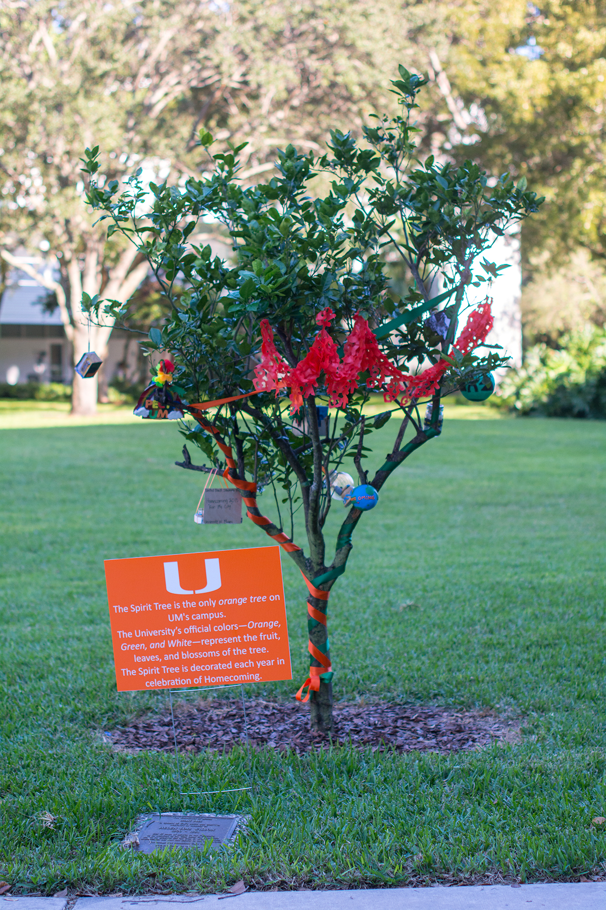 Spirit Tree competition brings organizations together to show pride ...