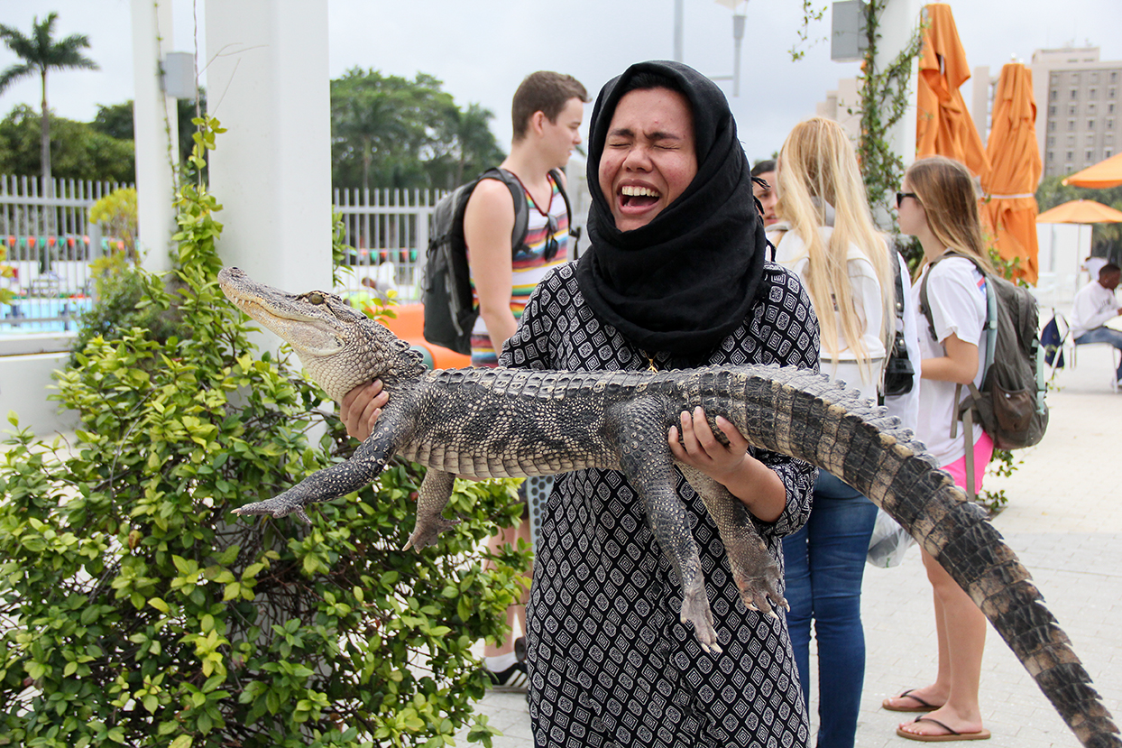 Photo of the Week: ‘See ya later, alligator’ - The Miami Hurricane