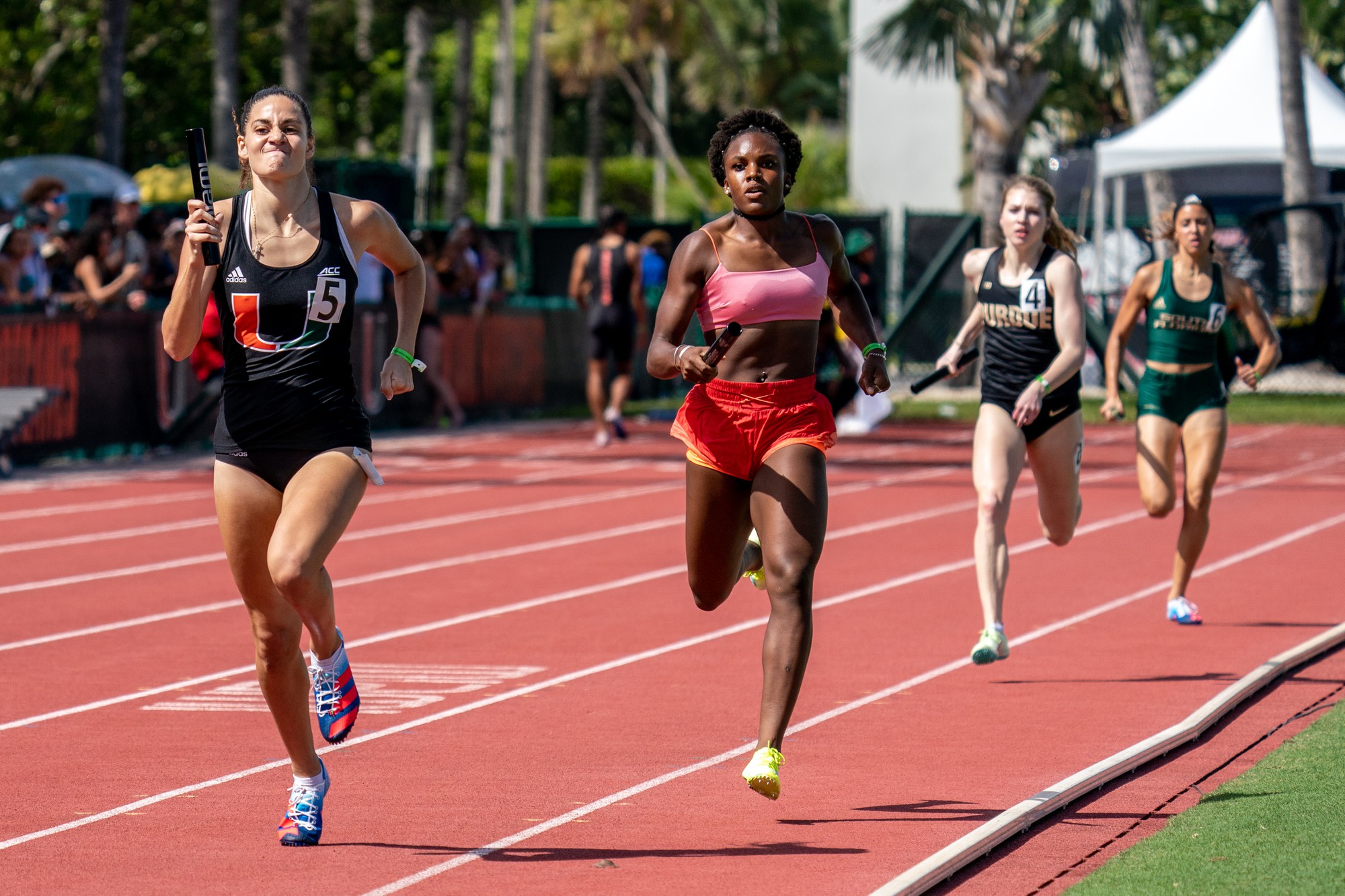 Miami enjoys successful opening to outdoor track and field season - The ...